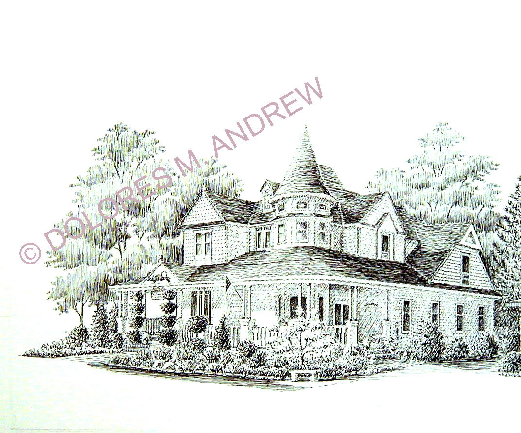 Pen and Ink Drawing - Dolores Andrew Designs